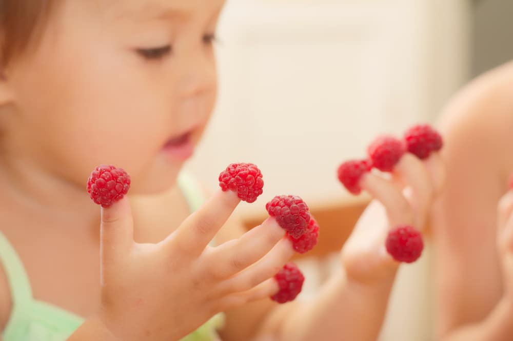 Food That Babies Can Enjoy Eating With Their Fingers Safely Baby Arabia Food That Babies Can Enjoy Eating With Their Fingers Safely Baby Arabia